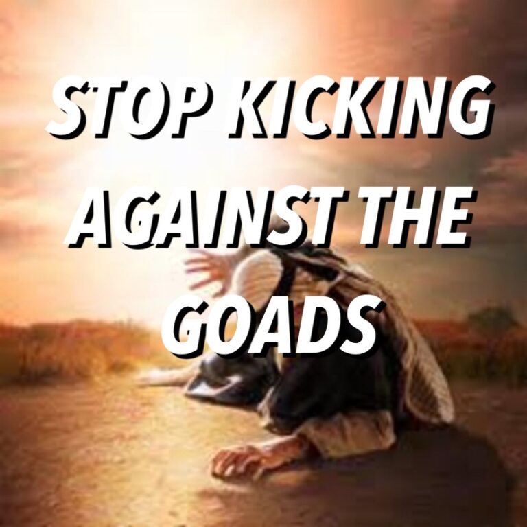 Leave a Reply Cancel reply